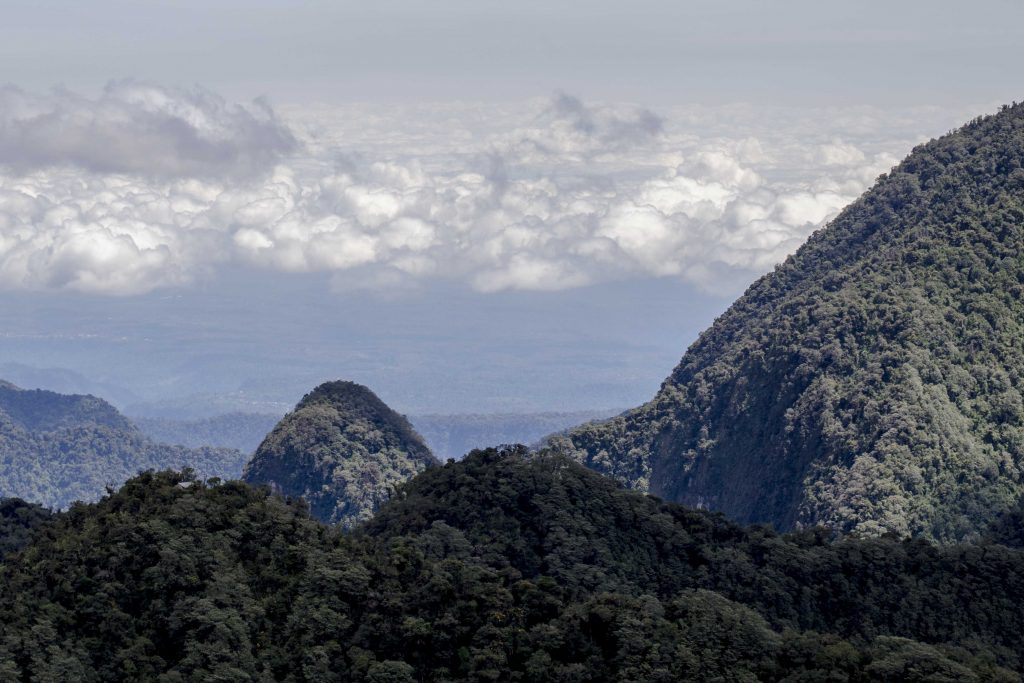 Choco-Andino: A New Biosphere Reserve in Ecuador