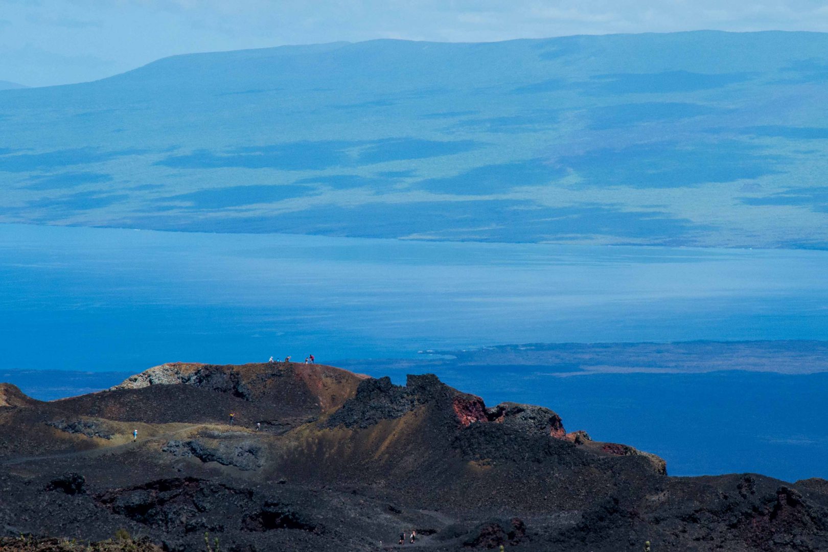 Best Photos from Isla Isabela, Galapagos Islands