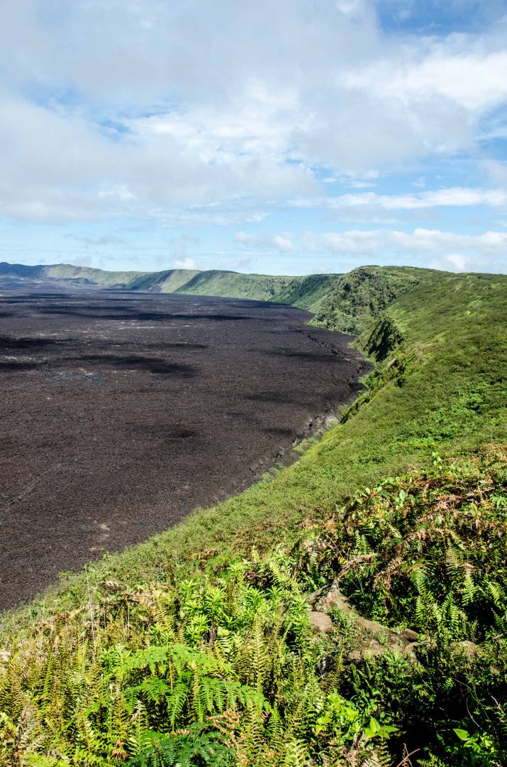 Best Photos from Isla Isabela, Galapagos Islands