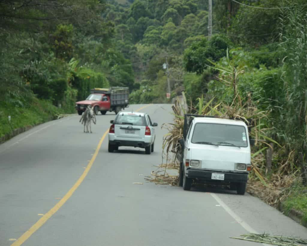 The Dangers of Driving in Ecuador