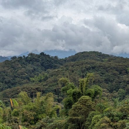 Why Quichua and Not Quechua?